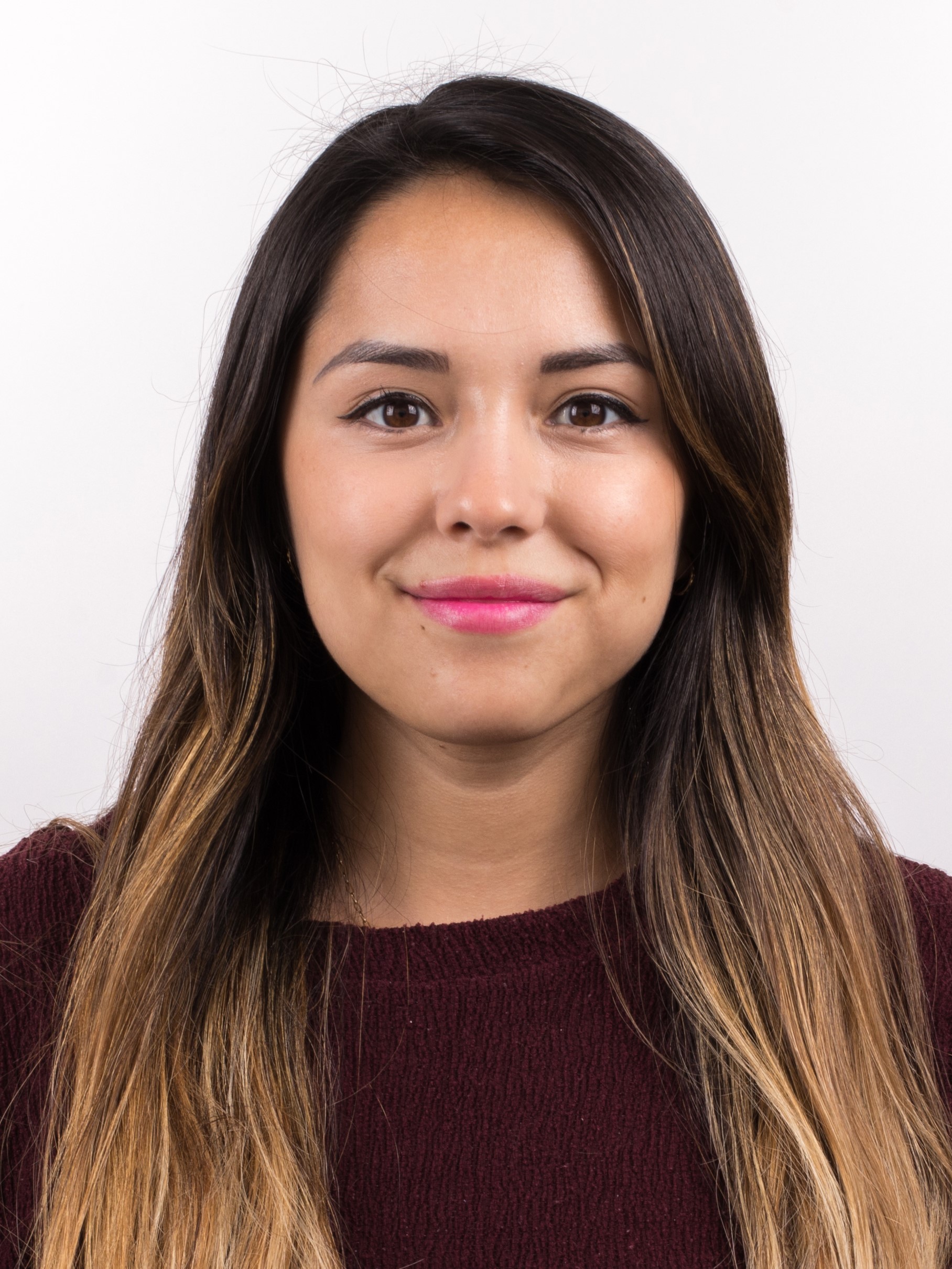 present members – Electroactive Oxides for Smart Devices